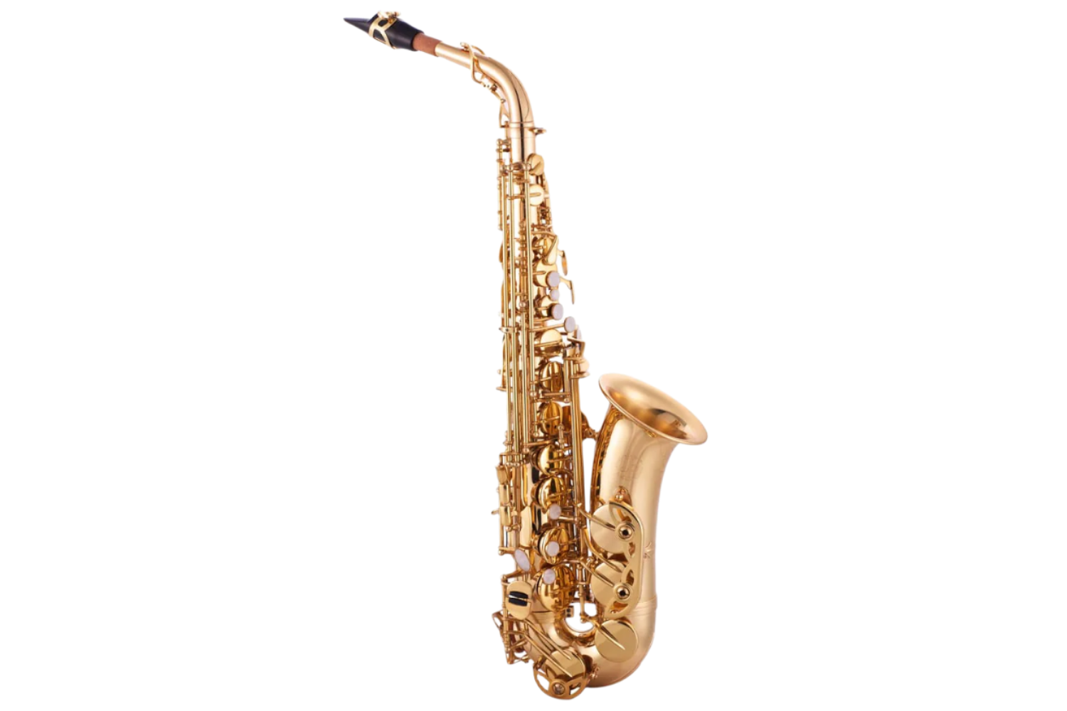 John Packer JP041 Studentmodel Altsaxofoon Eb kopen? Music All In