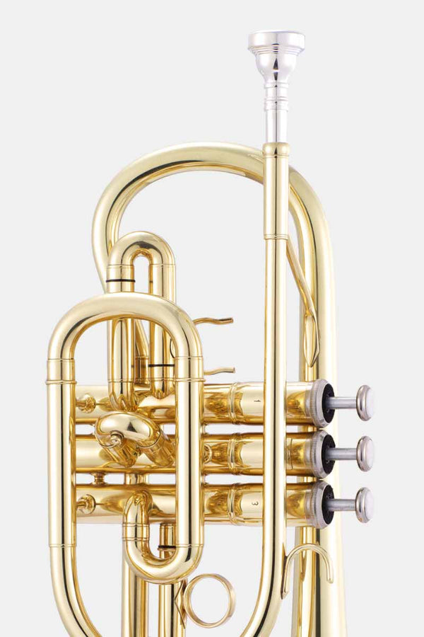 John Packer JP071 Bb Cornet Gelakt kopen? Music All In